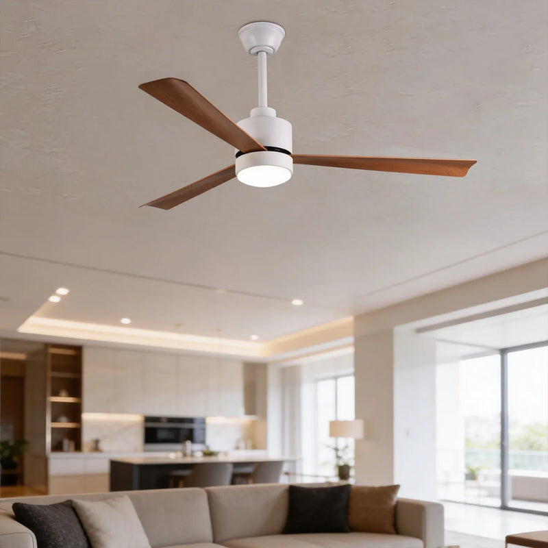 Buy 52 Inch BLDC Fan - Apollo 52 Ceiling Fan with Remote Control ...