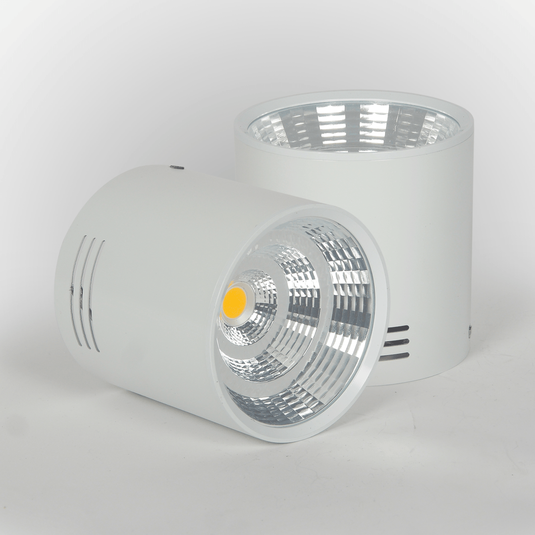 Surface Mounted Downlight Cob Surface COB LED Downlight Prulux