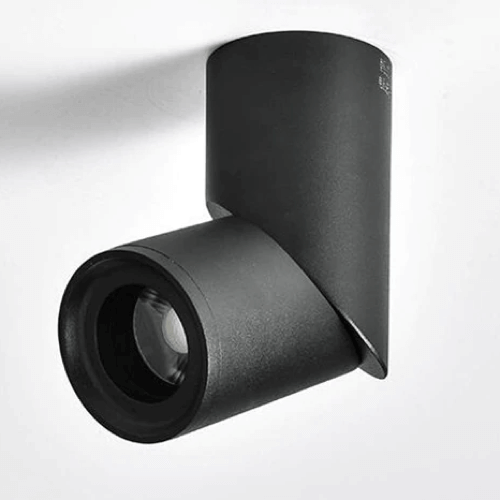 Rotating LED COB Spot Downlight - Indoor Ceiling Focus Light – Harold ...